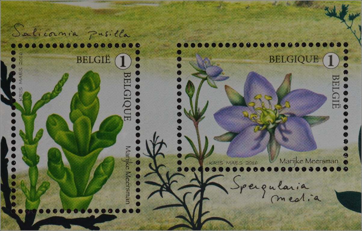 Belgien Belgium 2016 Nr. 4647-56 Flora und Fauna Vögel und Blumen ...