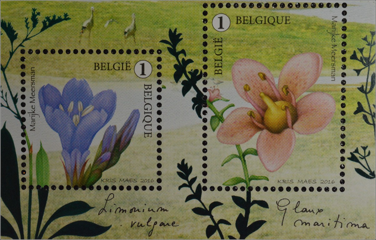 Belgien Belgium 2016 Nr. 4647-56 Flora und Fauna Vögel und Blumen ...