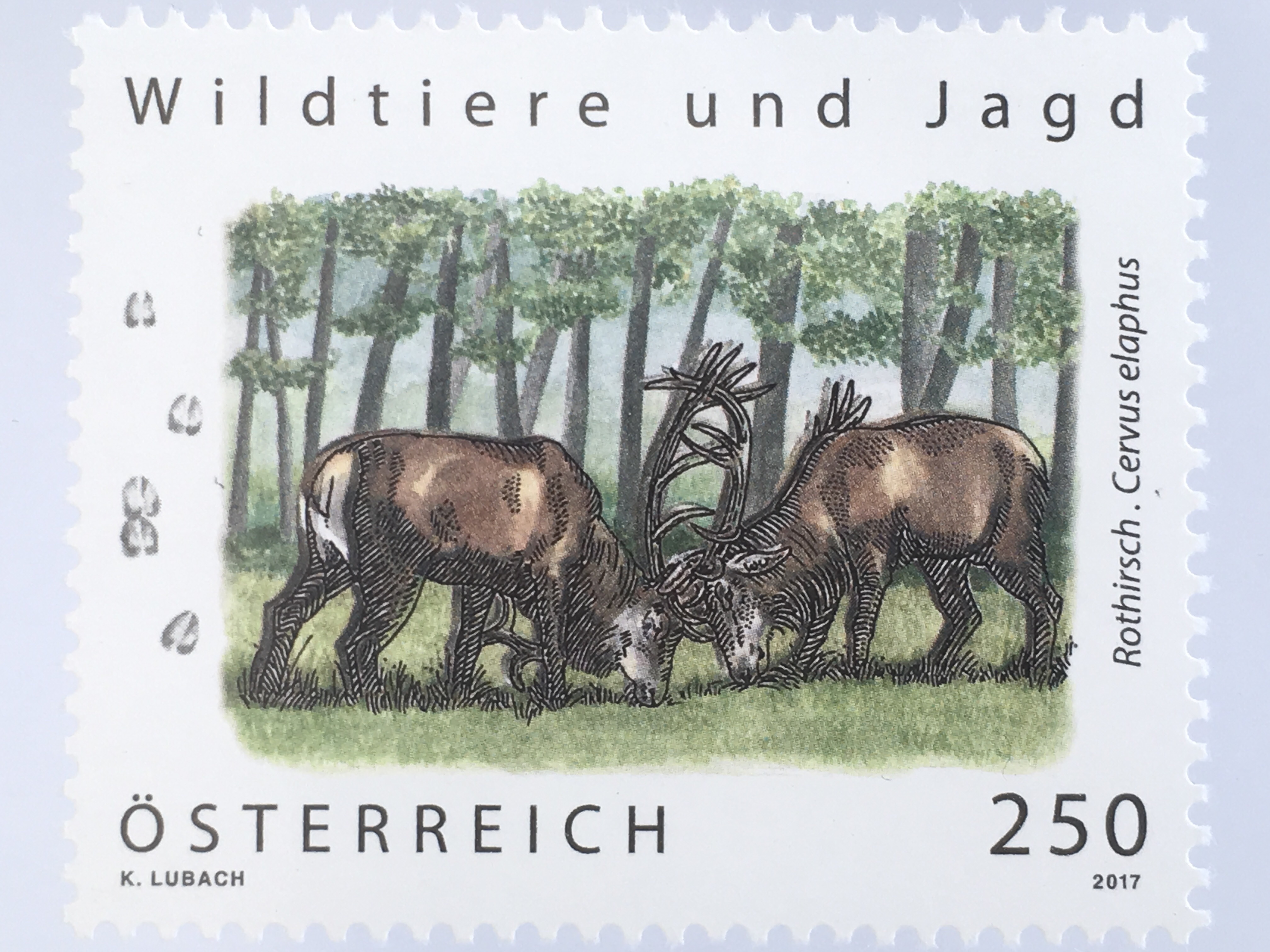 Österreich 2017 Nr. 3366 Wildtiere auf der Jagd Der Rothirsch Fauna ...