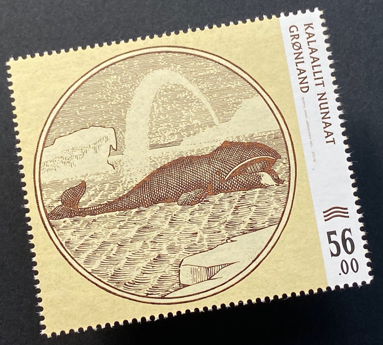 Grönland 2019 Nr. 819-20 Banknoten Kronenscheine mit Eisbär und ...