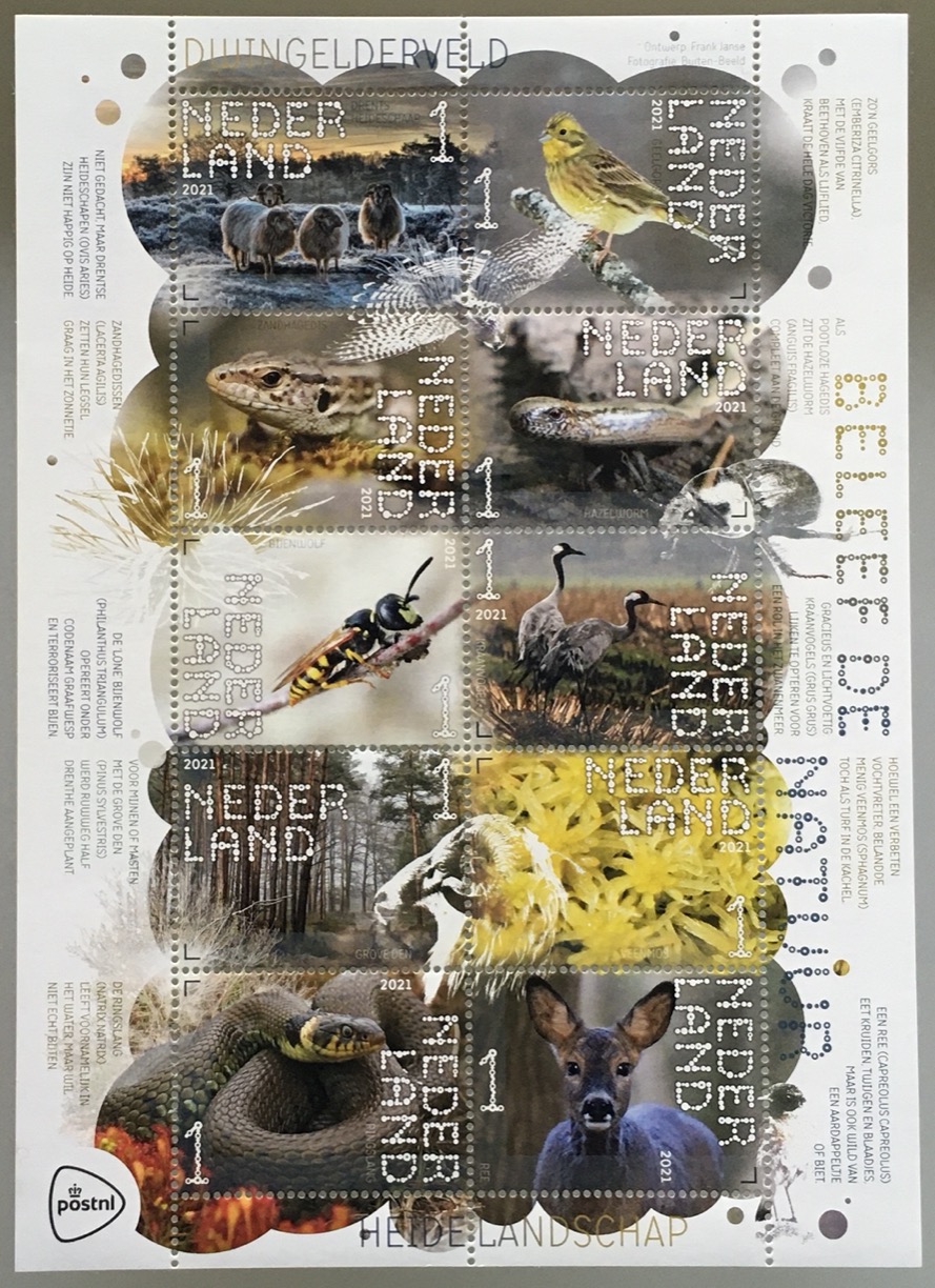 Niederlande 2021 Nr. 3978-87 Natur erleben Tier- und Pflanzenarten in ...