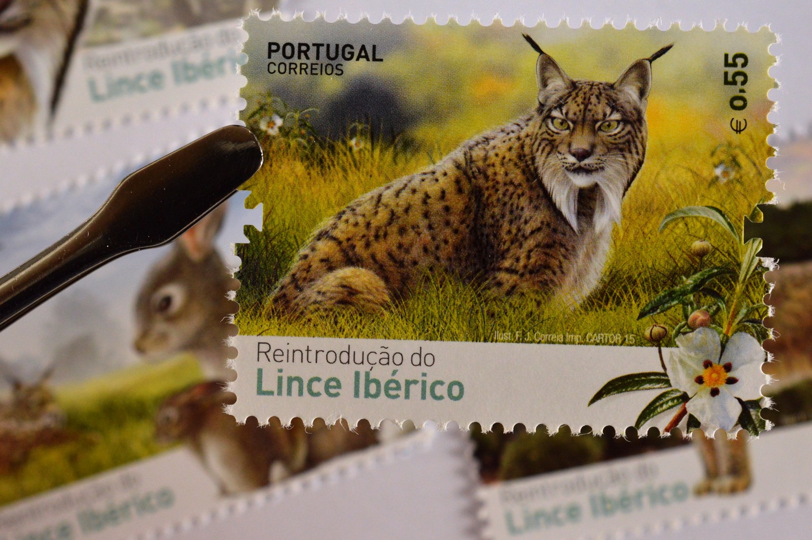 Portugal 2015, Michel Nr. 4031-34, Iberischer Luchs / Pardellluchs, 4 ...