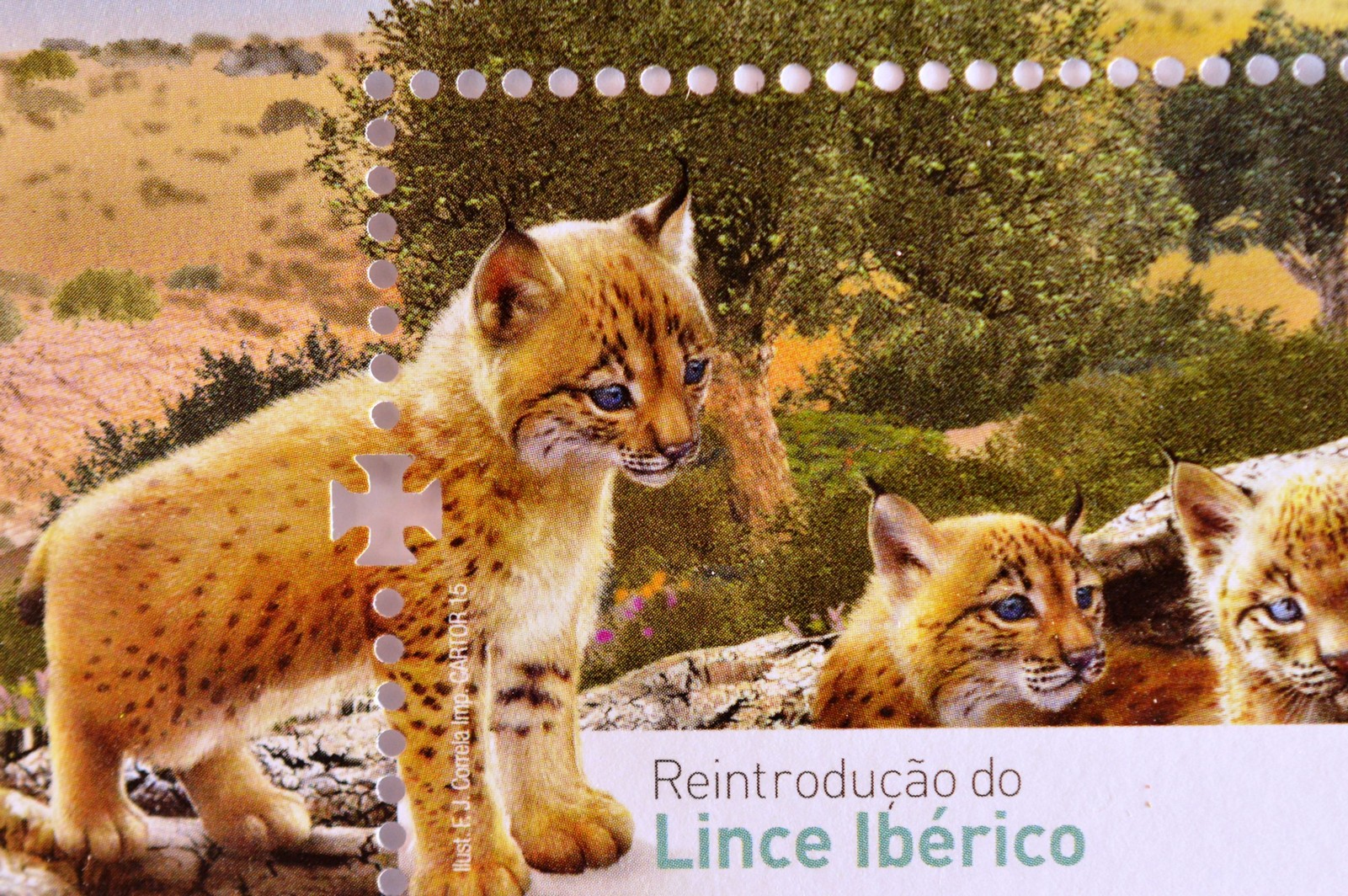 Portugal 2015, Block 374, Iberischer Luchs / Pardellluchs, Blockausgabe ...